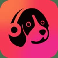 Muso 1.2.51 para Android | Descargar APK Gratis